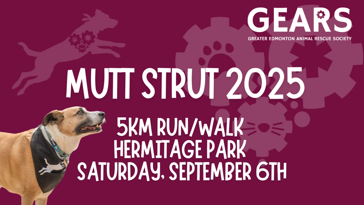 8th Annual Mutt Strut 5K Run/Walk • Greater Edmonton Animal Rescue Society